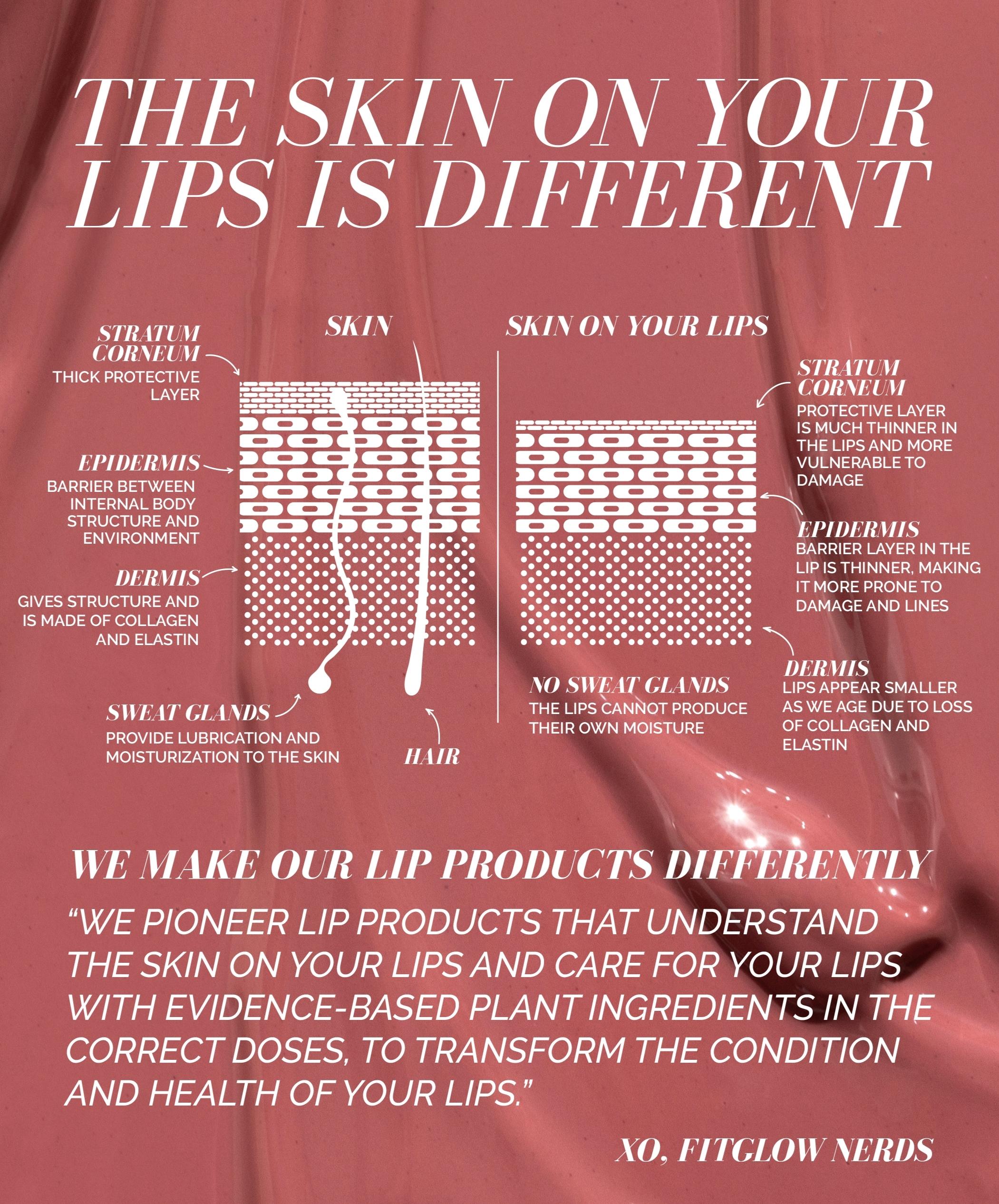 Build Your Own Lip Kit | Best In Clean Makeup - Fitglow Beauty