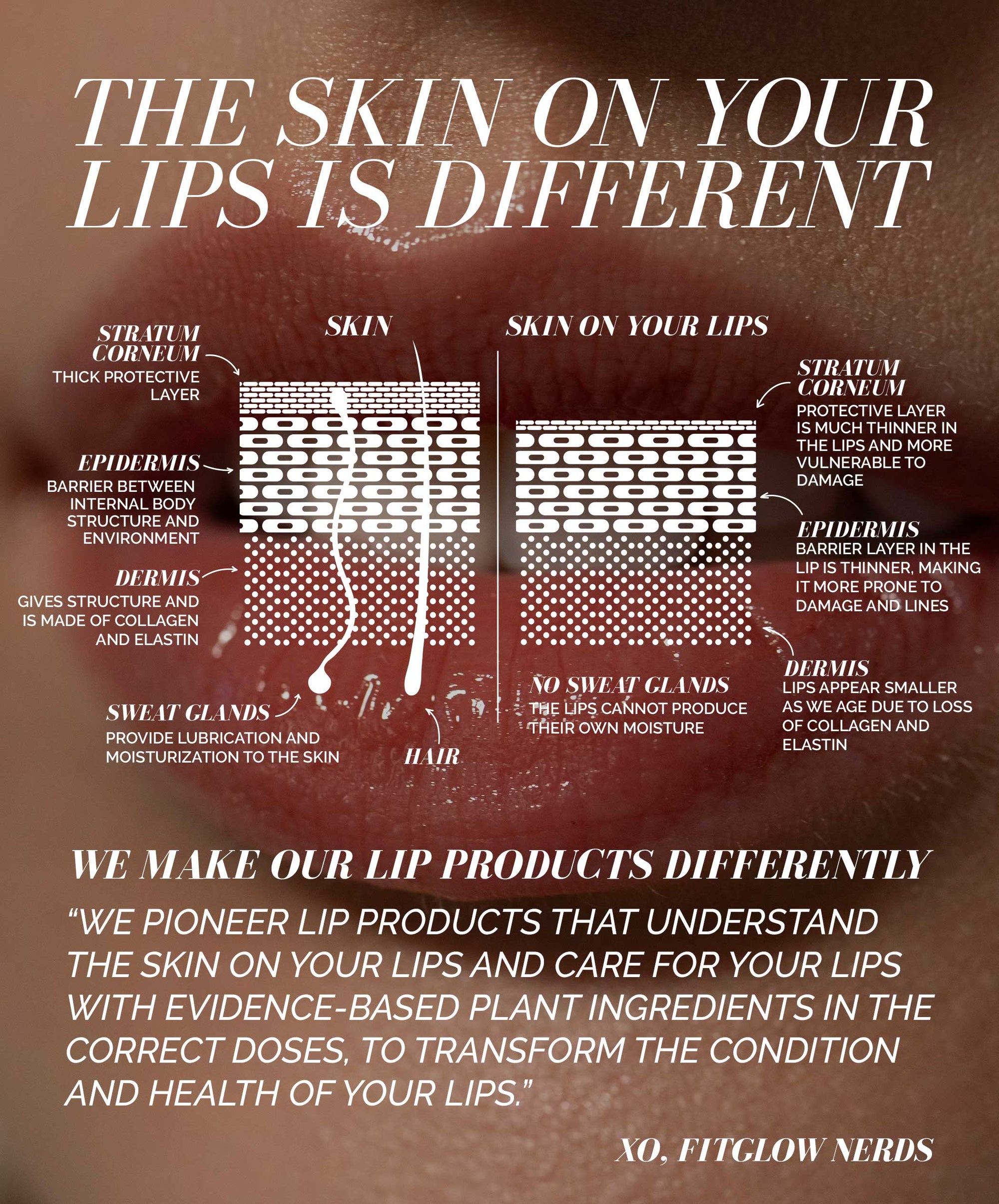 Build Your Own Lip Kit | Best In Clean Makeup - Fitglow Beauty